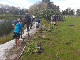 AWATAPU OTAMAKAOKAO KAITIAKI TRUST | Whakatane Information