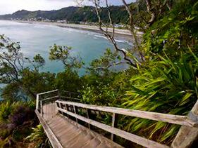 OHOPE SCENIC RESERVE | Whakatane Information